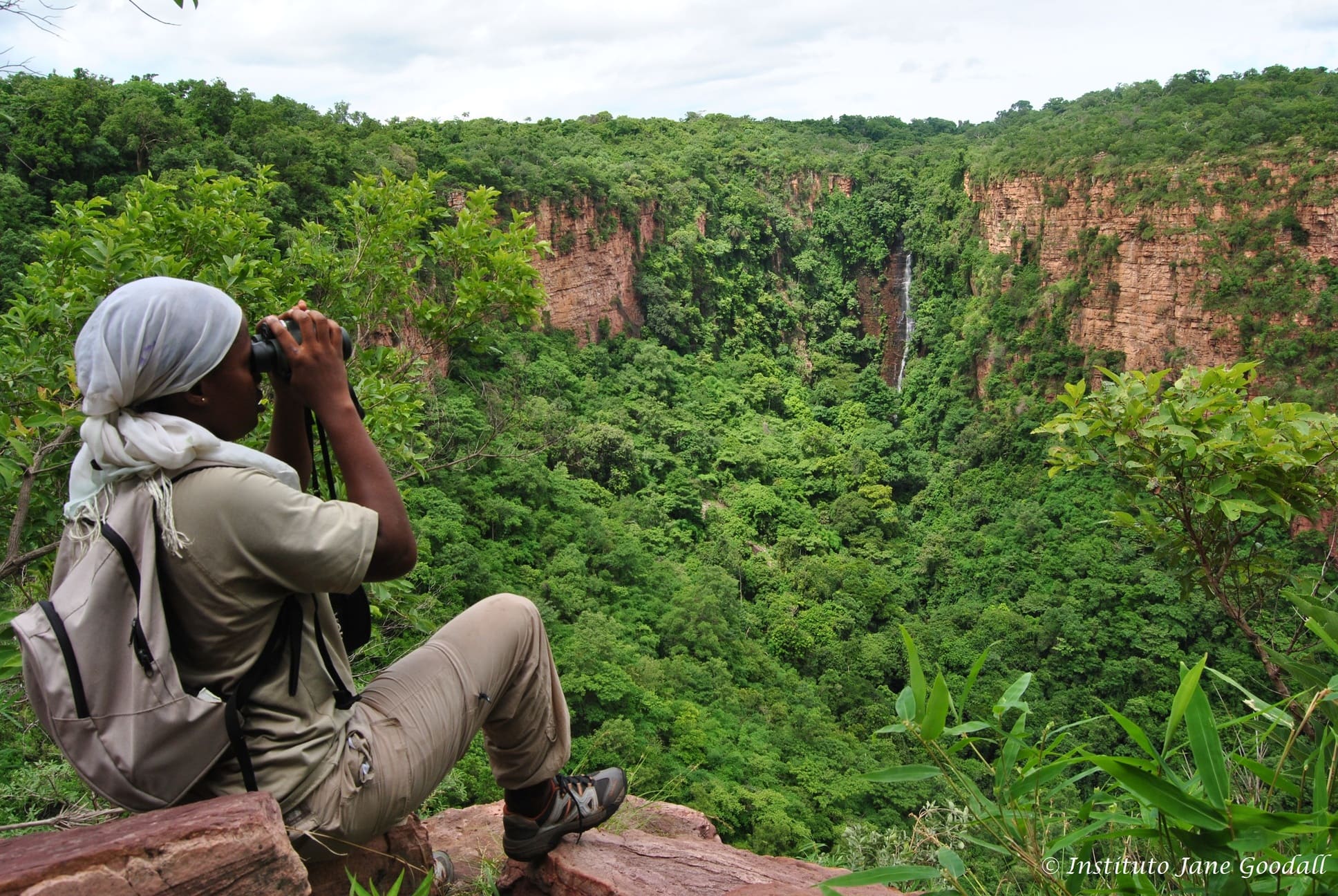 Ebo Forest Research Project - Fundación BIOPARC